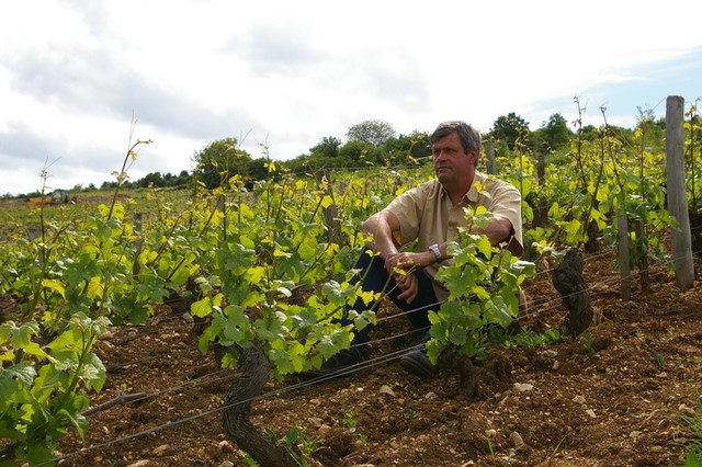 週五驚嚇預購-2020布根地精選 大叔式的優雅: Forey - 開瓶葡萄酒 KPING - 專業葡萄酒銷售